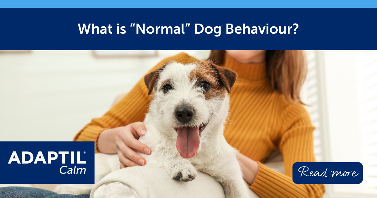 What is "Normal" Dog Behaviour?